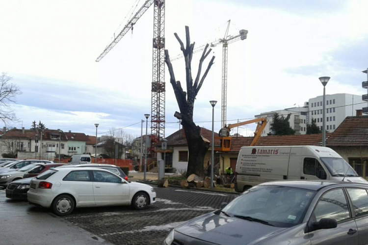 Banjaluka: Novo ruho za stari hrast?