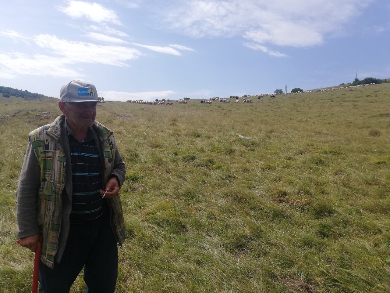 Ima 70 godina i sam na Manjači čuva stado od 1000 ovaca (Foto/Video)
