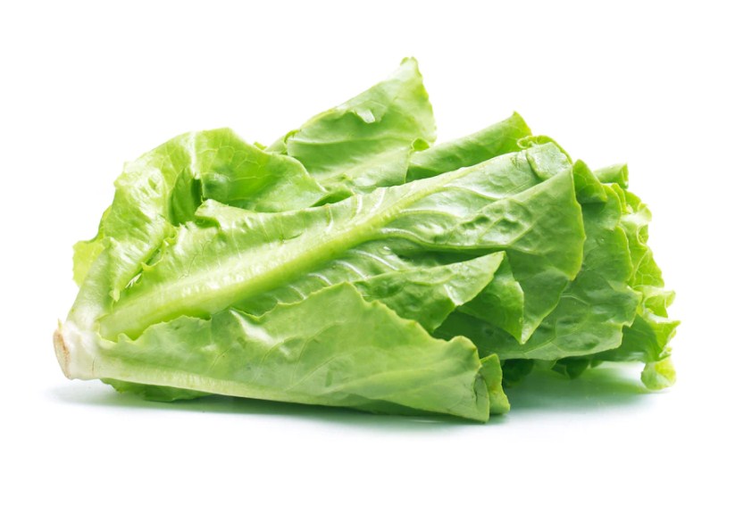 Četiri razloga zašto bi zelena salata trebalo da se nađe na vašoj ...