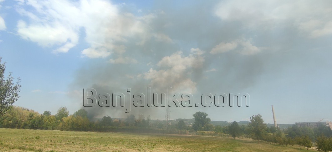 Foto/video vijest: Gori šiblje kod Kampusa