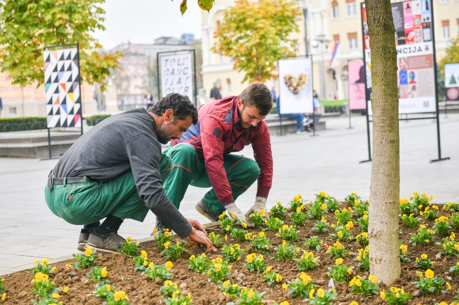 Počela sadnja sezonskog cvijeća u gradskim cvijetnjacima (Foto)