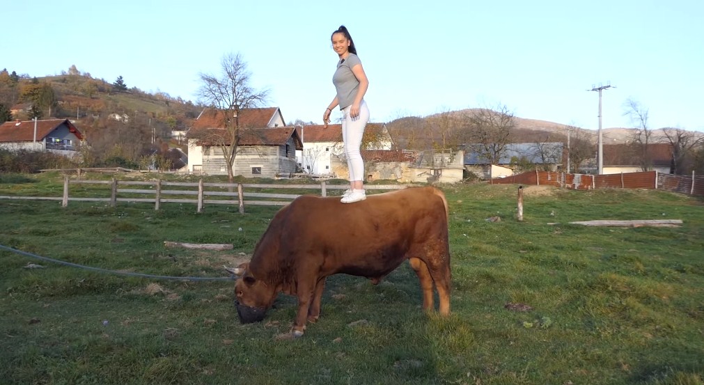 Emina Ćatić iz Bugojna je najmlađa vlasnica i trener bikova u BiH (Video)