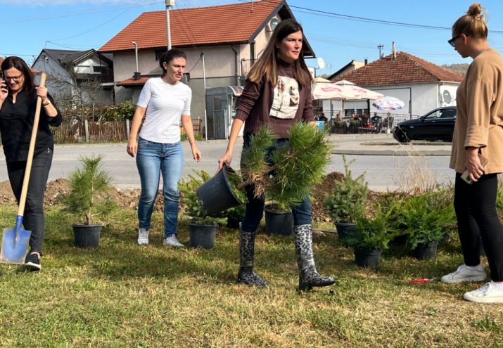 Nove sadnice i ukrasno drveće u Lazarevu (Foto)