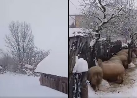 Kako izgleda život na Manjači pokrivenoj snijegom (Video)