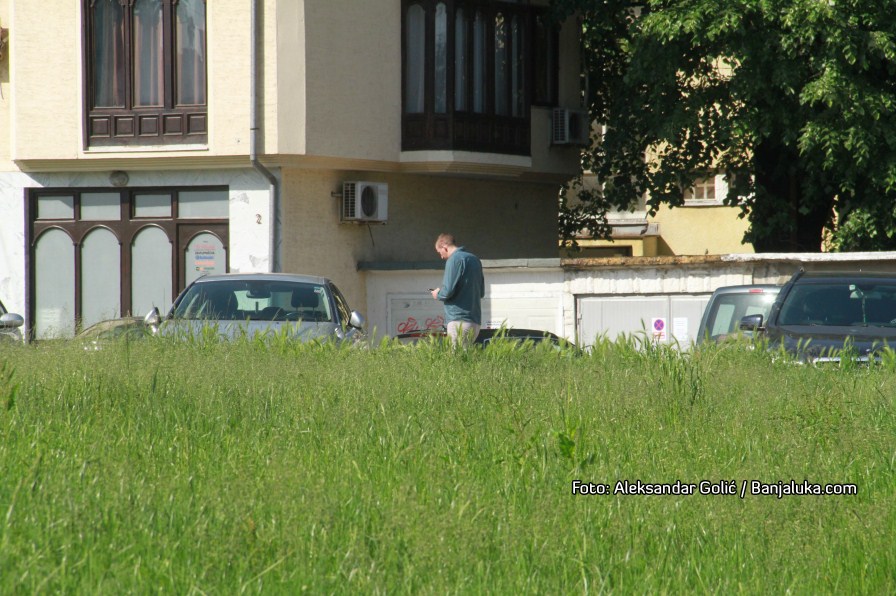 Obilićevo zaraslo u travu, kiša pogodovala rastu (Foto)