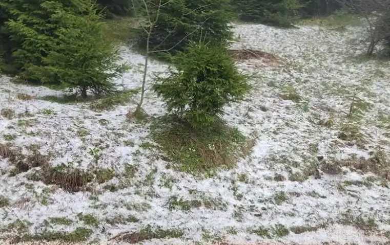 Jako nevrijeme pogodilo ovaj dio BiH: Livade prekrila veća količina leda